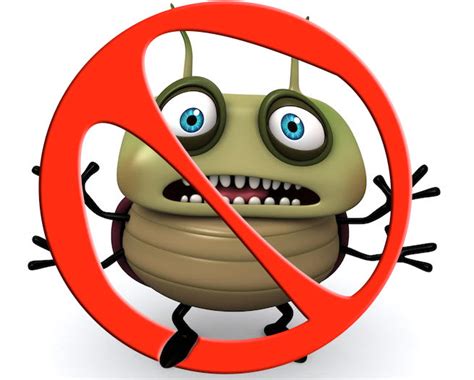 fix your html css javascript issues by jmpanugaling fiverr