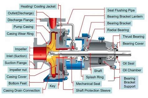 The Complete Guide To Understanding LMI Pump Parts Diagram And Function