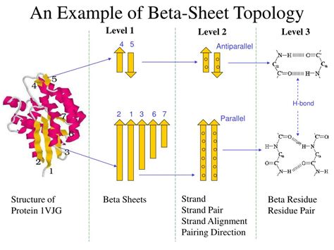 ppt machine learning algorithms for protein structure prediction powerpoint presentation id