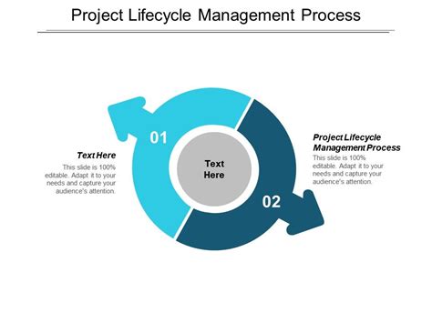 Project Lifecycle Management Process Ppt Powerpoint Presentation Show