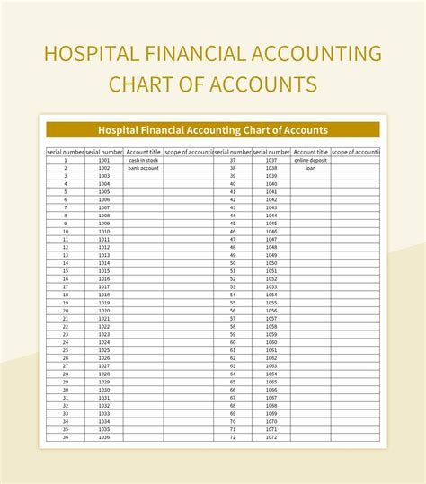 Hospital Financial Accounting Chart Of Accounts Excel Template And