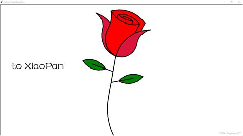 情人节用python画玫瑰花 python画玫瑰花代码 csdn博客