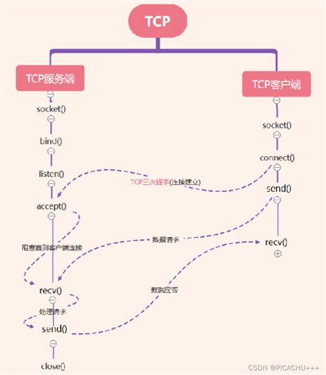 python渗透测试编程基础——socket网络编程 python socket csdn博客