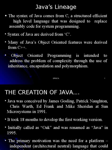 java s lineage grnica 1 pdf java virtual machine java programming language