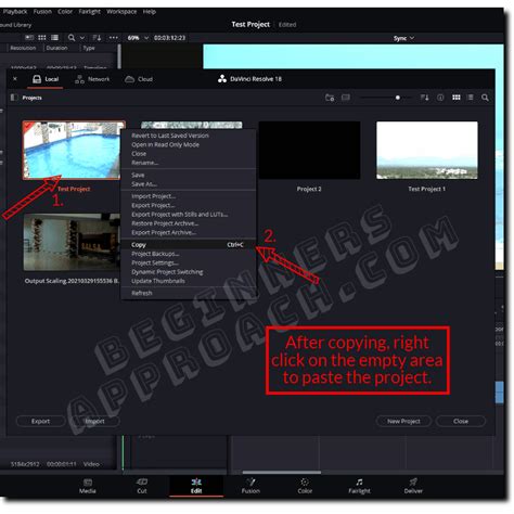 Duplicate Clip Project In DaVinci Resolve 2024 Updated