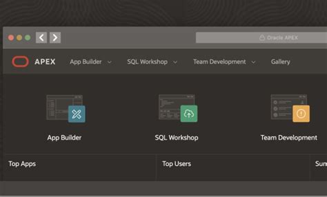 Build Project Using Oracle Apex Sql And Plsql With 15 Years Experience