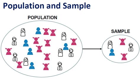 population vs sample 02