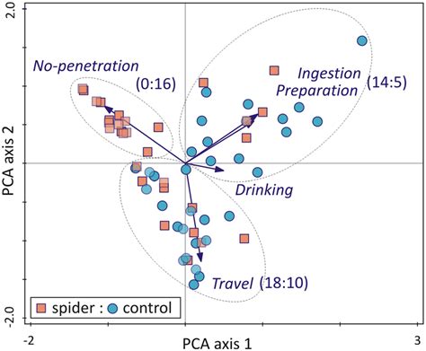 unsupervised machine learning types and guide