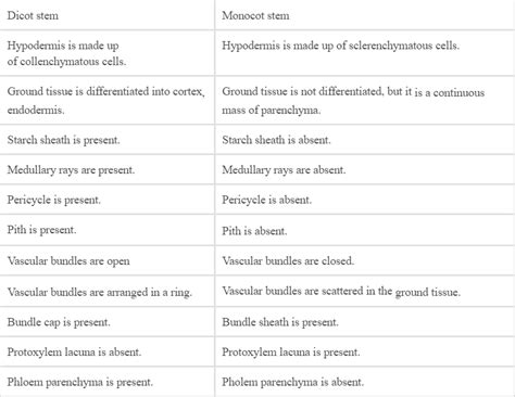 Write The Anatomical Differences Between Dicot Stem And Monocot Stem