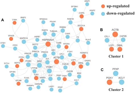 a protein protein interaction ppi network analyses of download scientific diagram