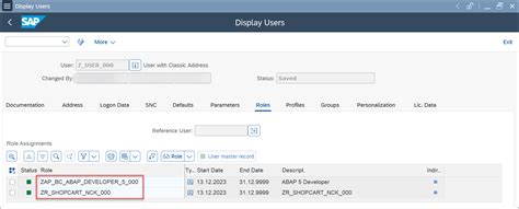 provide authorizations to users for non released authorization objects checked by the create