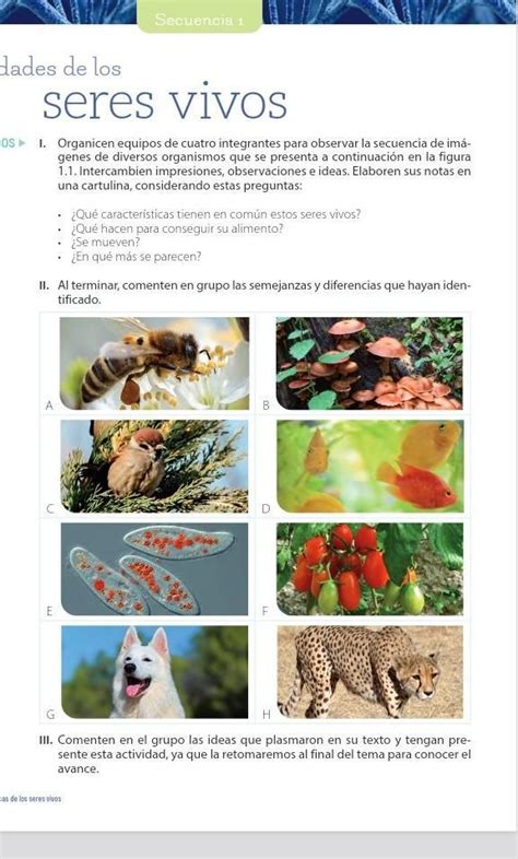 ¿que Caracteristicas Tienen En Comun Estos Seres Vivos Brainlylat