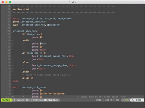Assembly Vim Syntax Highlighting