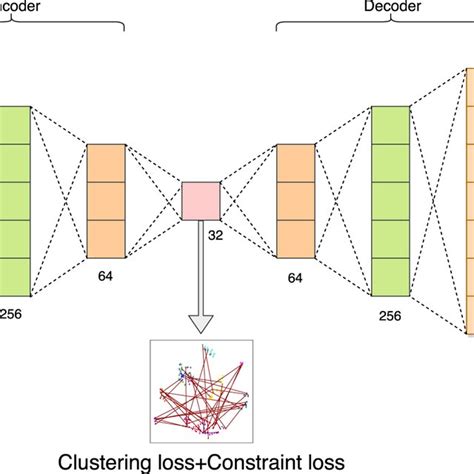 network architecture of scdcc the autoencoder is a fully connected download scientific diagram