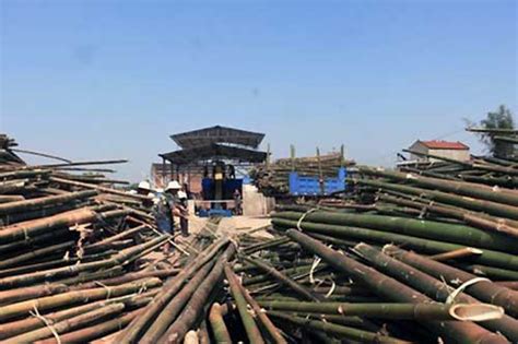 Bamboo Pulp Making Process Bamboo Paper Manufacturing CNBM