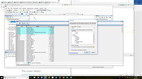Solved How To Summarize Field Statistics In Arcpy Using A Esri