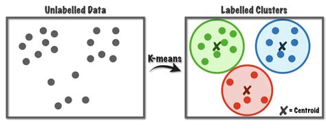 top 8 machine learning algorithms explained