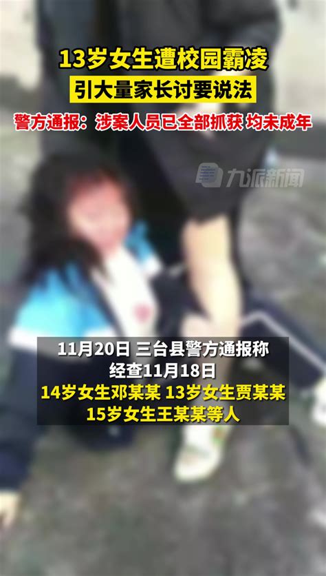 11月20日四川三台警方通报13岁女生遭校园霸凌涉案人员已全部抓获均未成年 高清1080P在线观看平台 腾讯视频