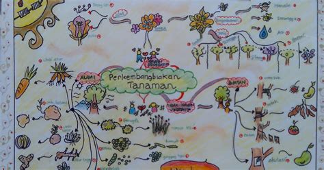 Mind Mapping Kenali Manfaat Dan Cara Membuatnya Agar Belajar Lebih