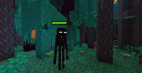 Spryzeen S Healthbars Screenshots Minecraft Resource Packs CurseForge