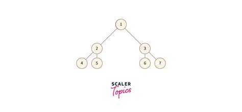 binary tree in c types and implementation scaler topics