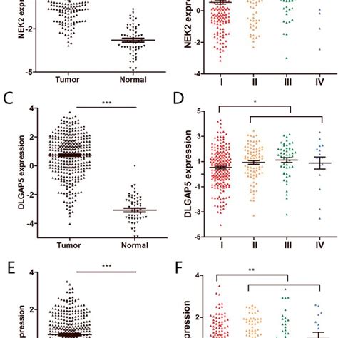 Diagnostic Value Of The Three Candidate Genes In Lung Cancer By ROC