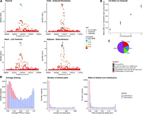 colocalization provides evidence of extensive eqtl tissue specificity download scientific