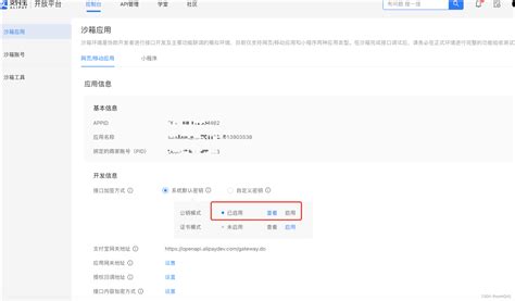 springboot整合支付宝沙箱支付，保姆级教程。 springboot 沙箱 保姆 csdn博客