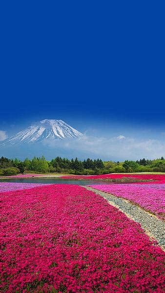 Most Beautiful Nature Wallpapers In The World