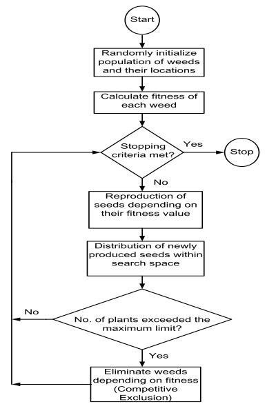 invasive weed optimization algorithm flowchart download scientific diagram