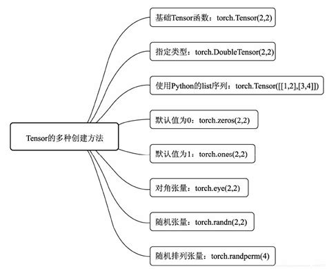 【阅读笔记（一）】numpy与tensor 代码天地