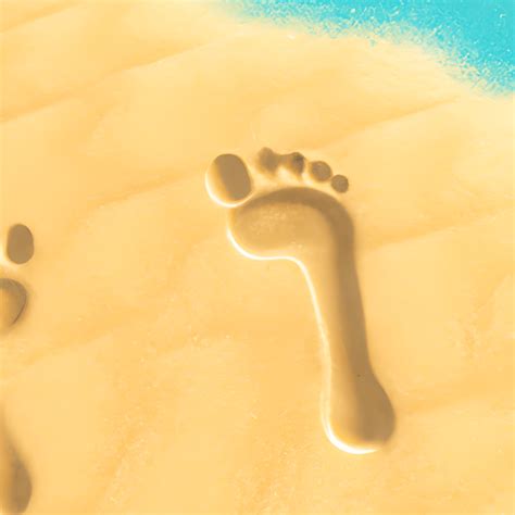 Sunkissed Summer Beach · Creative Fabrica