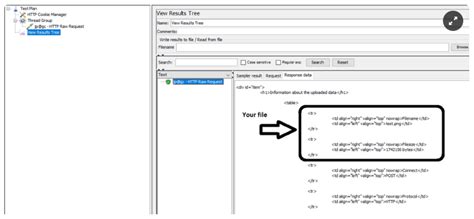 The JMeter Raw Request Sampler When And How To Use It