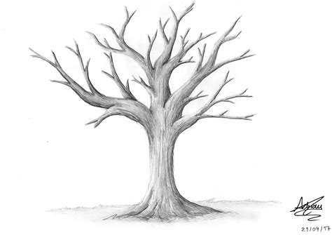 How To Draw A Realistic Tree Realistic Tree Drawing Tutorial Jyoti