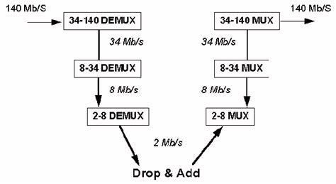 sdh primer
