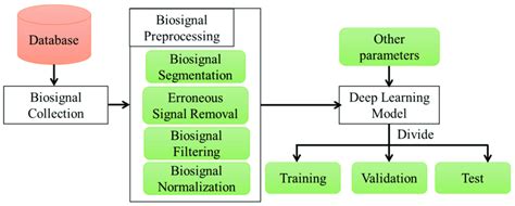noninvasive bp waveform estimation using biosignals and deep learning download scientific