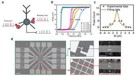 spiking neurons with nonlinear dynamics for fully memristive neural networks research