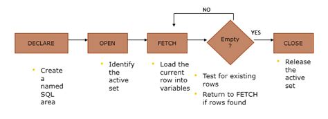 pl sql cursors oracle applicatons