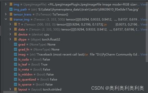 pytorch入门（一） from torch utils tensorboard import summarywriter csdn博客