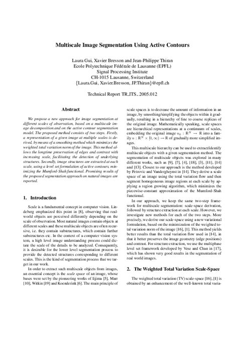 pdf multiscale image segmentation using active contours laura gui