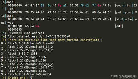 libcsearch报错 libcsearcher找不到合适libc 最新解决方案 libcsearcher python3 csdn博客