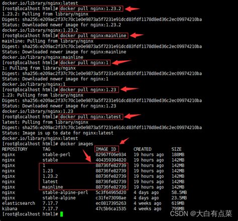 docker安装最新稳定版nginx（分析版本选择问题和分享踩坑过程） nginx最新稳定版本 csdn博客