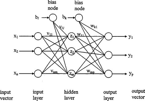 representation of three layer feed forward artificial neural networks download scientific diagram