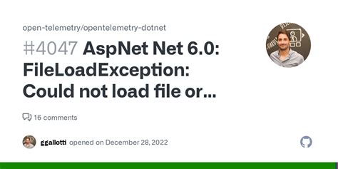 AspNet Net 6 0 FileLoadException Could Not Load File Or Assembly