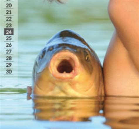 The 2018 Erotic Carp Calendar Is Here And Somehow Its Even Better Than Last Years Maxim