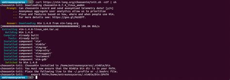 Nim Install This Programming Language On Ubuntu 20 04