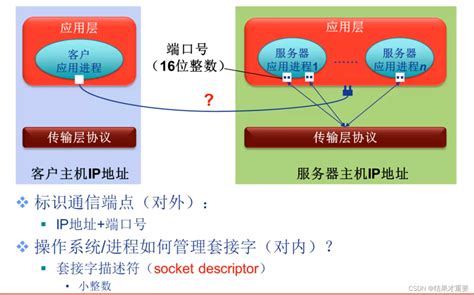 socket编程 应用编程接口（api） 套接字（及其函数介绍） socket api csdn博客