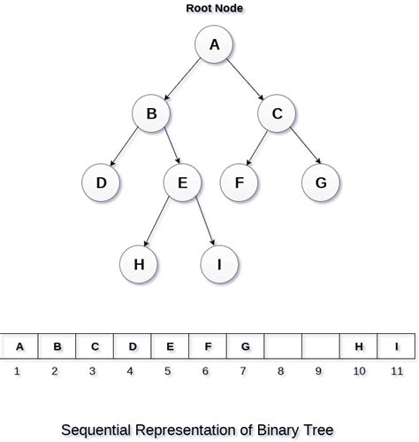 Binary Tree Javatpoint Artofit