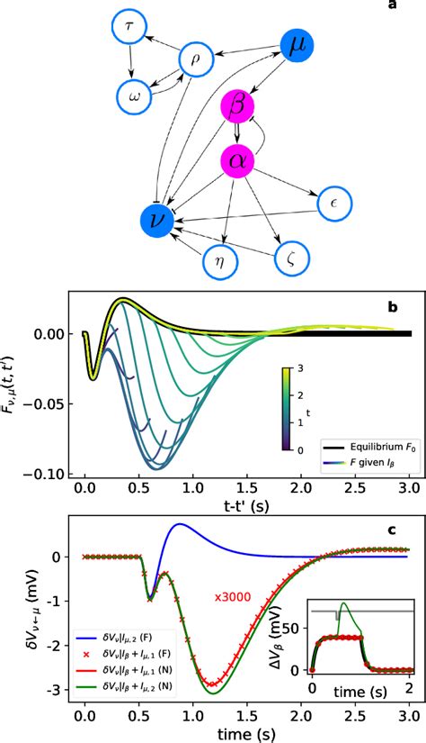 figure 1 from nonequilibrium green s functions for functional connectivity in the brain