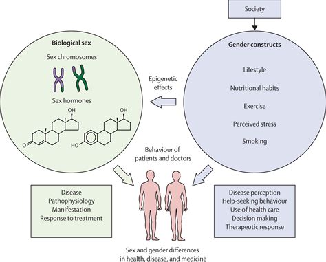 sex and gender modifiers of health disease and medicine the lancet